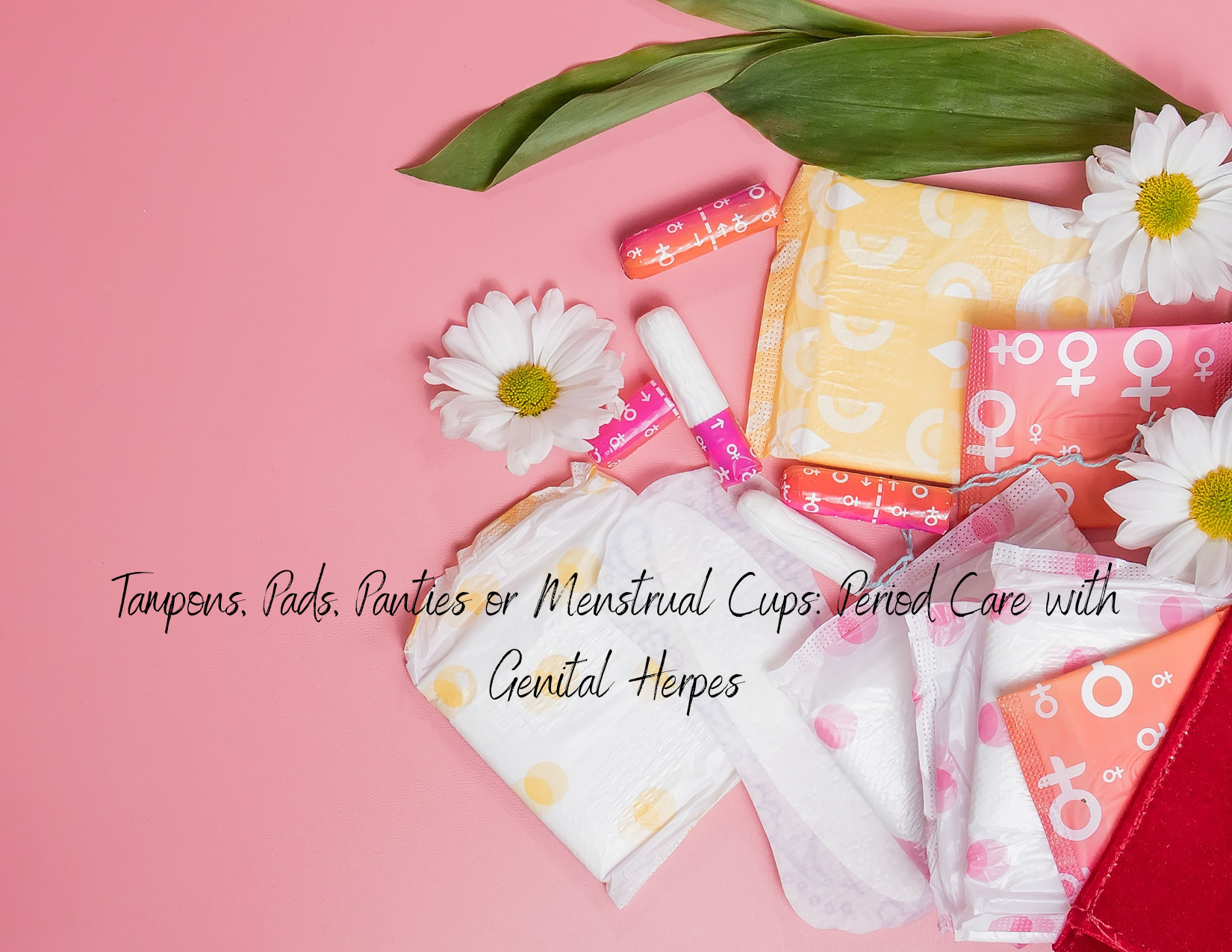Tampons, Pads, Panties or Menstrual Cups: Period Care with Genital Her ...